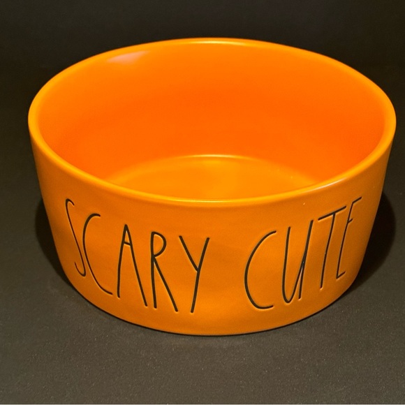 Rae Dunn | Dog | Rae Dunn Scary Cute 8 Dog Bowl Matt Orange Nwot ...